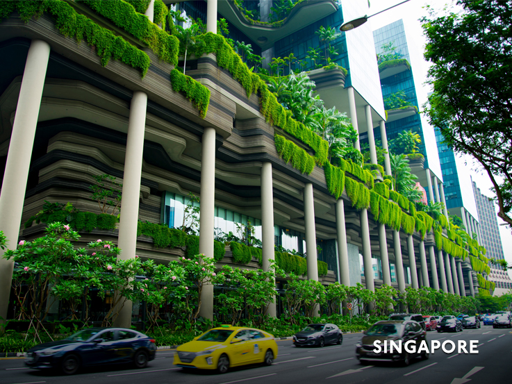 Beyond the green façade: “Greenwashing” risks and strategies for ...